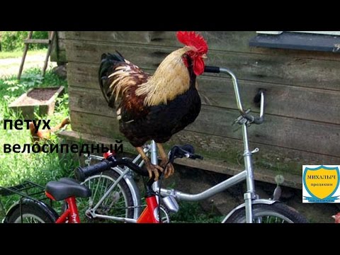 Петухи велосипедные. (Крепление заднего переключателя) - YouTube