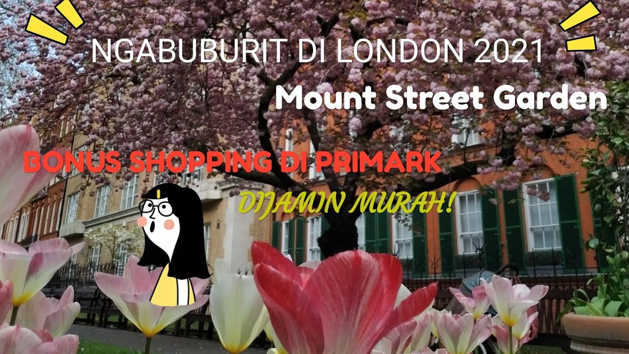 Mount Street Garden + Shopping Di Primark | Ngabuburit Di London 2021 ...