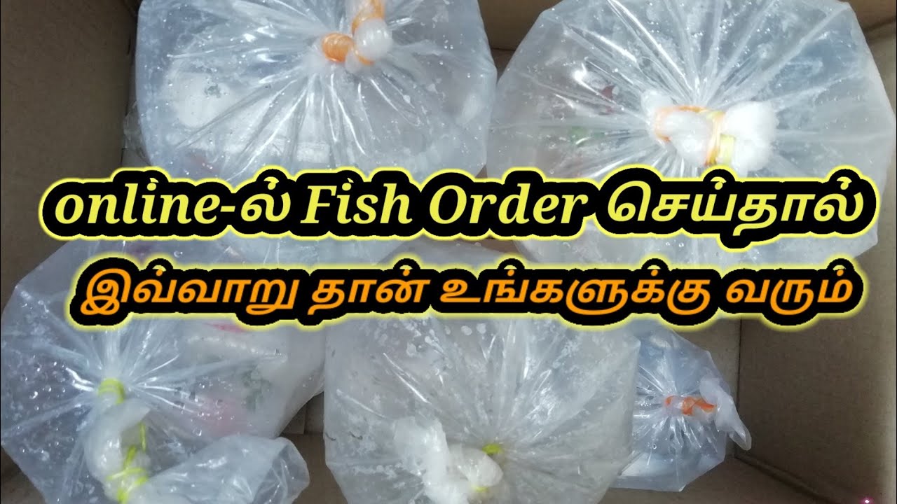 online-ல் Fish Order செய்தால் இவ்வாறு தான் உங்களுக்கு வரும்|Aquarium ...