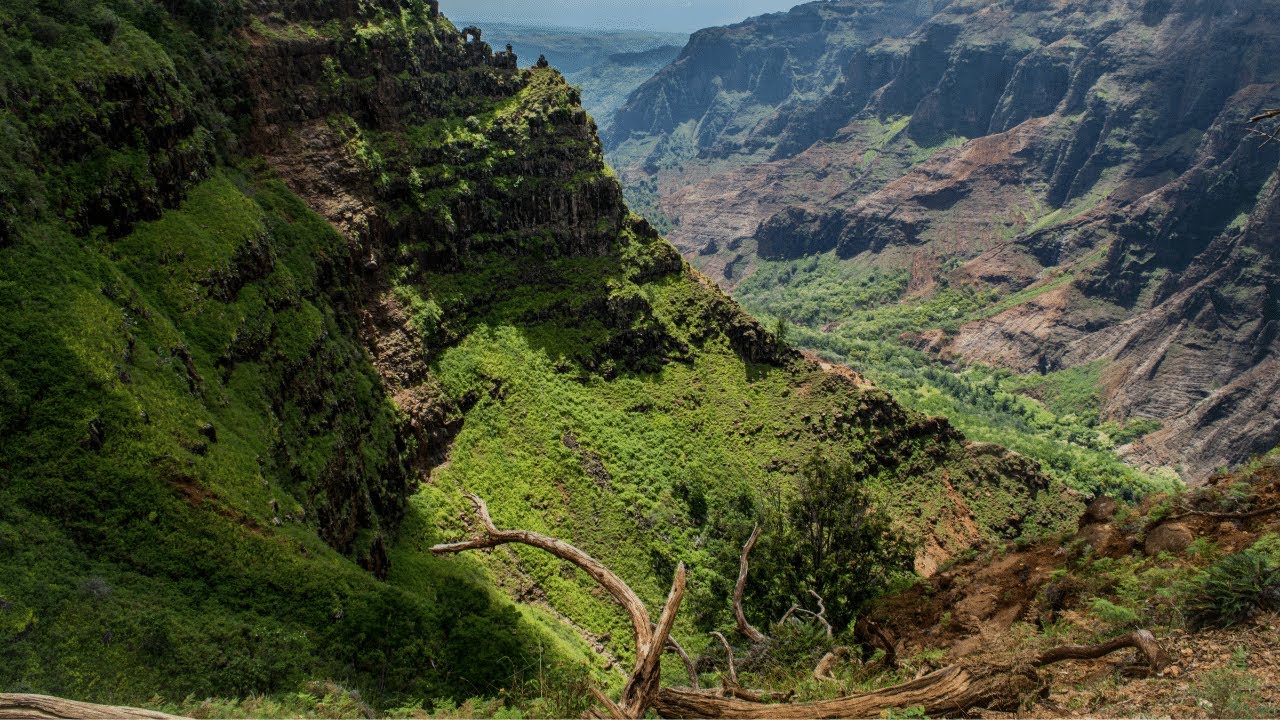 Awesome Nature Slideshow 16 - YouTube