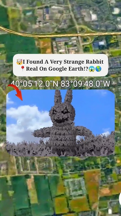 I found rabbit on Google Earth and Google maps #shorts #youtubeshorts # ...