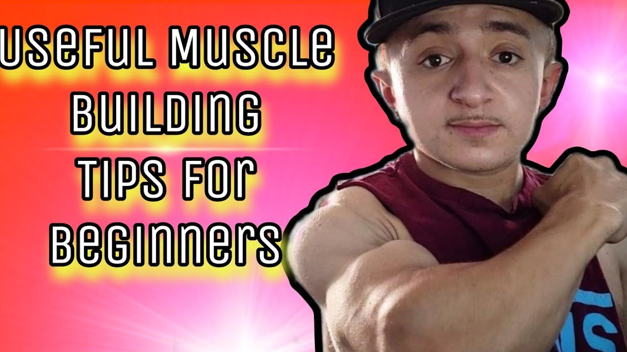Useful Muscle Building Tips for Beginners - YouTube