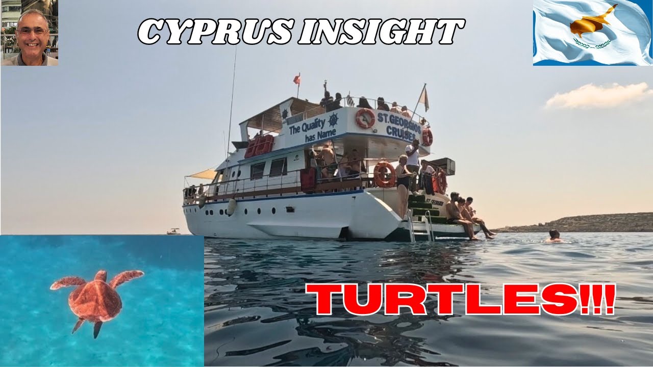 Turtles Spotted on St Georgios Relax Cruise Protaras Cyprus. - YouTube