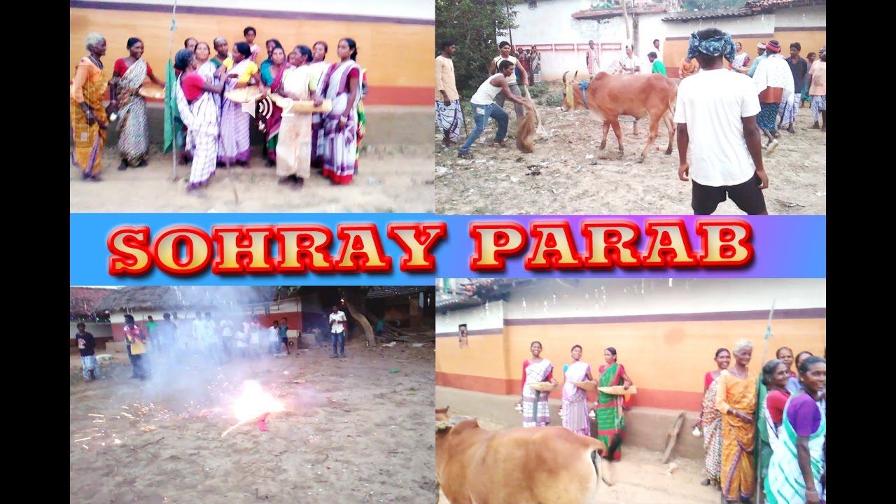 Shoray Aanghal Bonga (New Sohray Video Song 2016) - YouTube