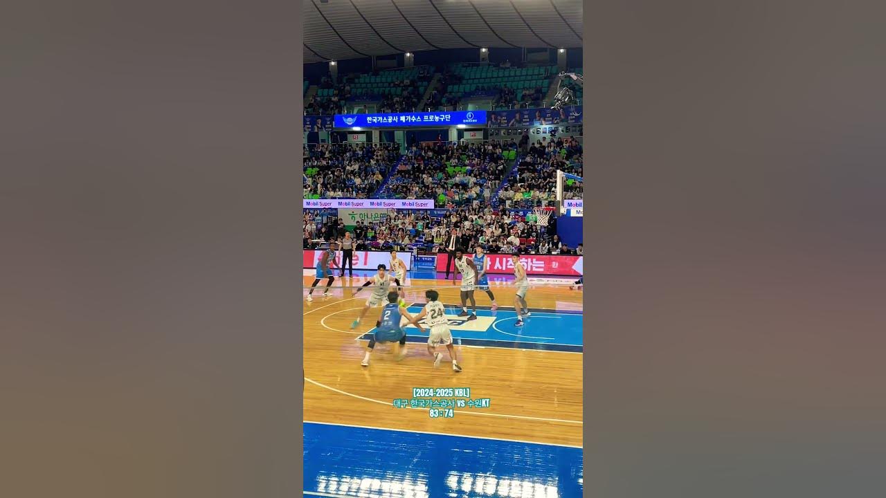 [2024-2025 KBL]대구실내체육관_2층_C1구역_1열12번_강력추천💙 - YouTube