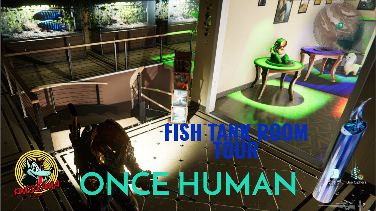 Once Human - A Tour Of My Fish Tank Room With Art Room & Fish Trophy ...
