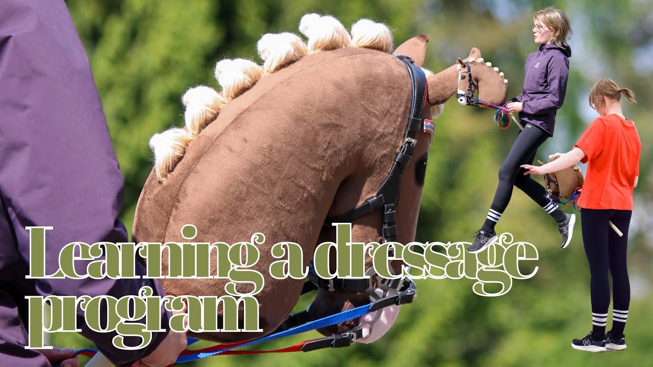 How I learn a dressage program!😇 - YouTube
