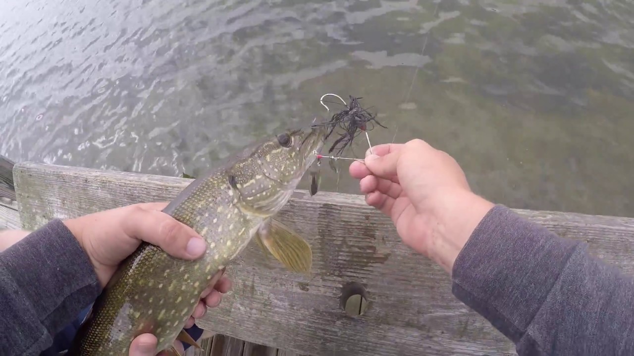 CATCHING MY FIRST NORTHERN PIKE - YouTube