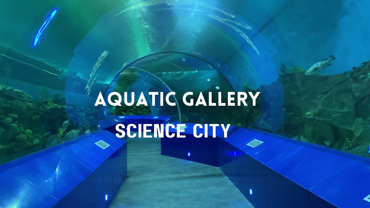 Aquatic Gallery | Science City | Ahmedabad - YouTube