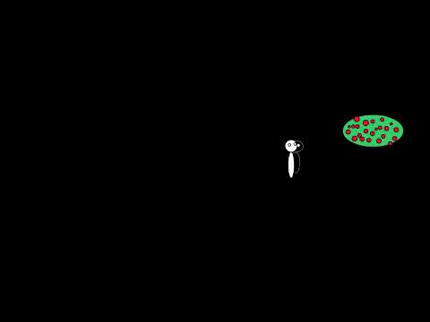 My First Animation - Help Hungry Friend - Dost Ki Madad Karna