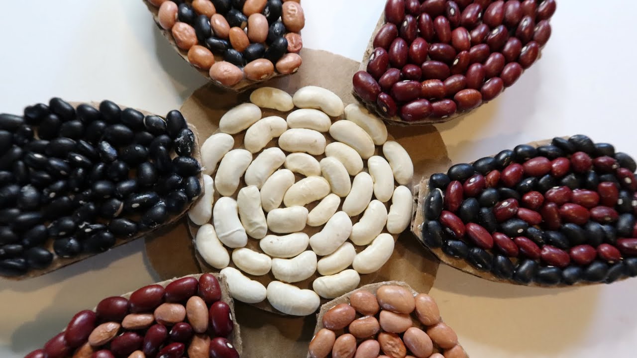 Dried Bean Mosaic Flowers - A WheatonArts Family Art Workshop - YouTube