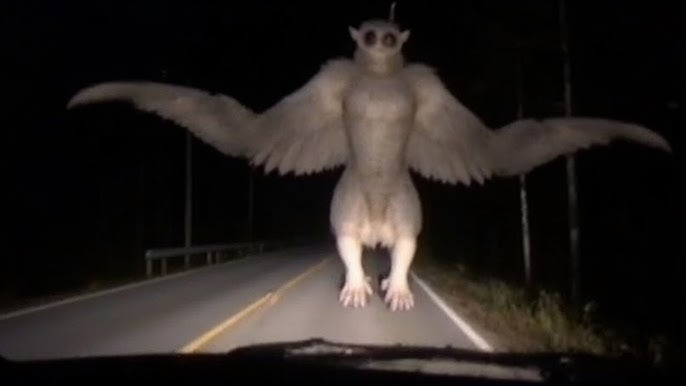 Cryptids Of The Appalachian Mountains Youtube