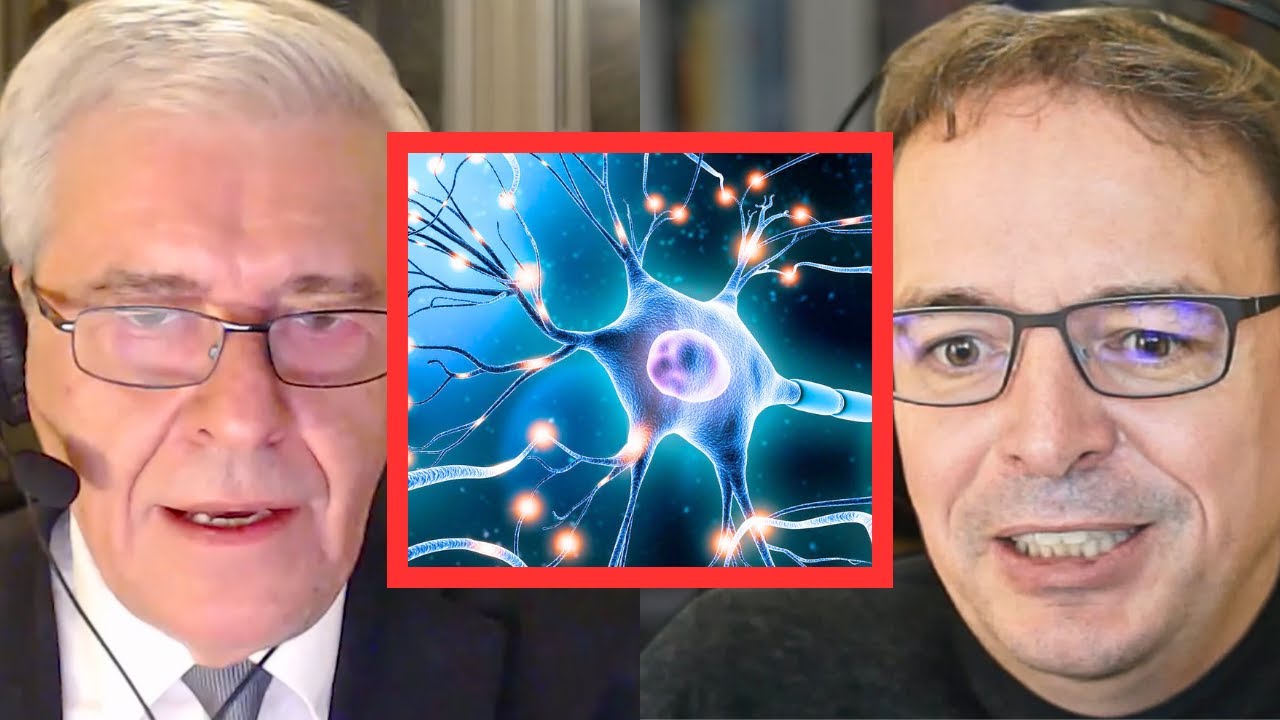 How Mind, Matter, and Consciousness Are Connected - YouTube