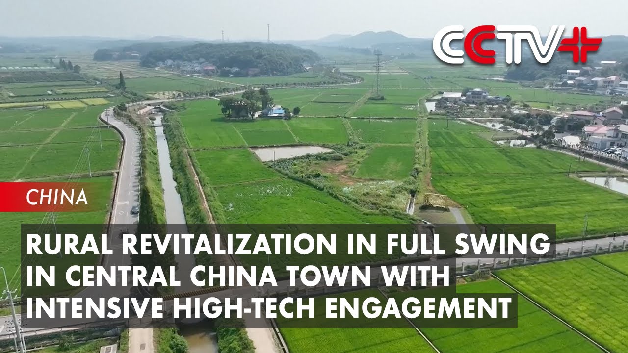 Rural Revitalization in Full Swing in Central China Town with Intensive ...