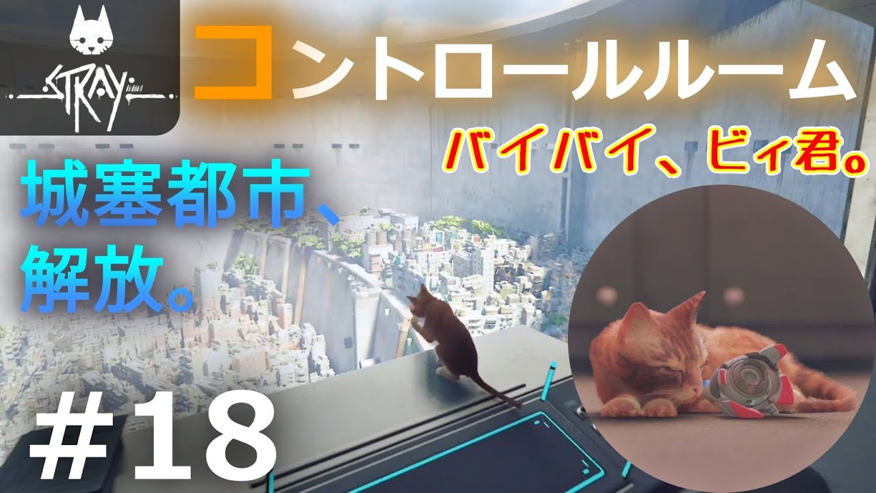 otomemory : Steam「Stray（ストレイ）」攻略・感想・ネタバレ！【コントロールルーム／ストーリー編】18（字幕プレイ動画あり）