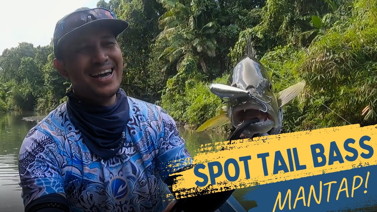 SPOT TAIL BASS MENTAWAI! - YouTube