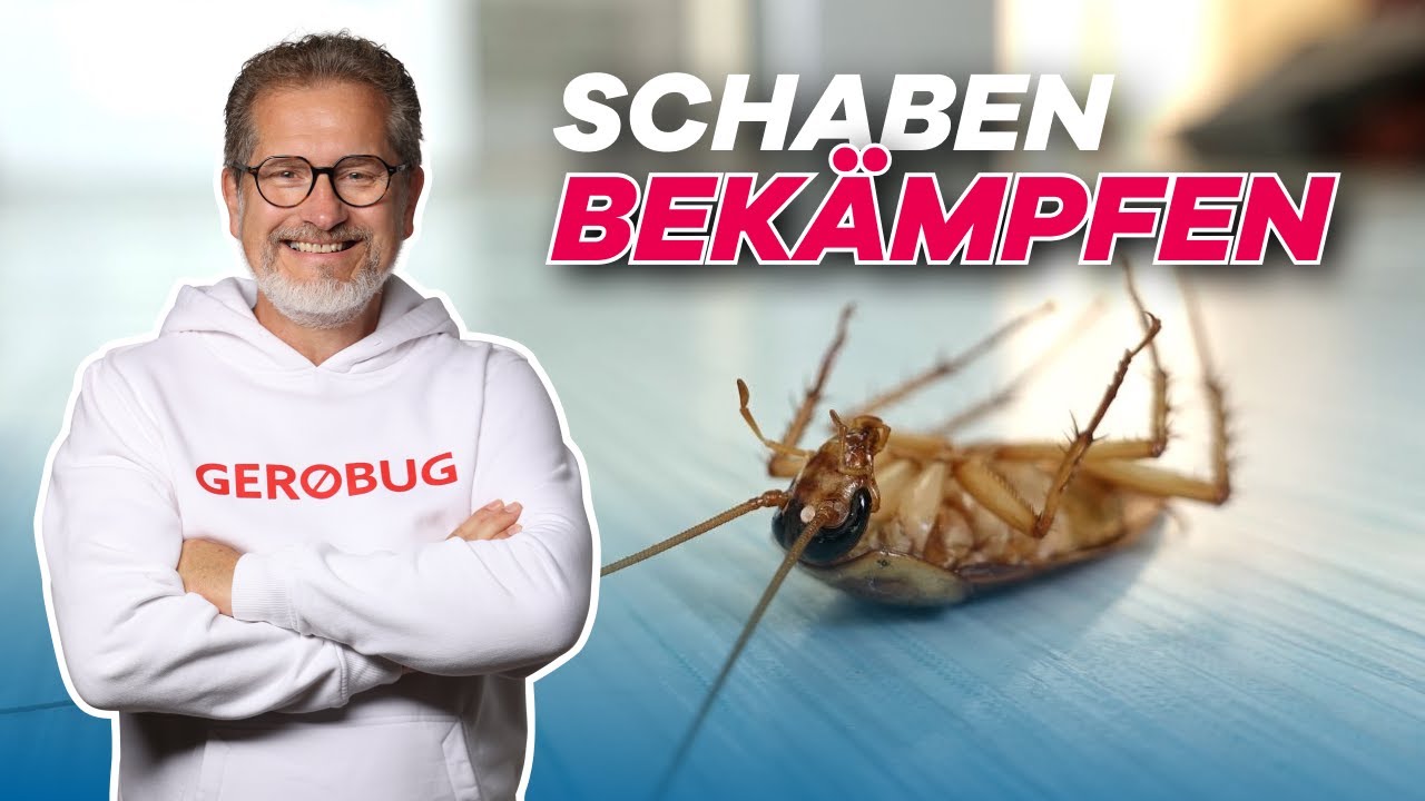 SCHABEN BEKÄMPFEN - Mit dieser Profi Methode wirst du sie schlagartig ...