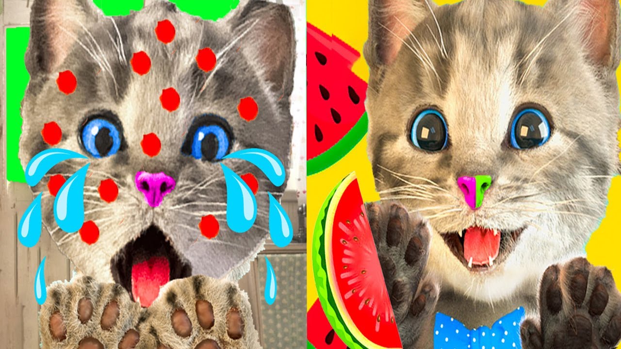 NEW LITTLE KITTEN ADVENTURE AND FRIENDS - CARTOON CAT AND ANIMATED ...