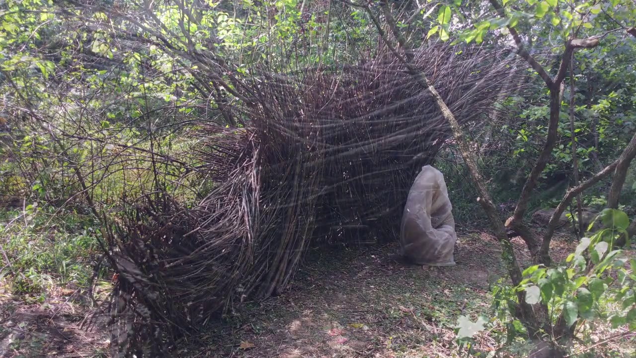 Let's Make Land Art! - YouTube