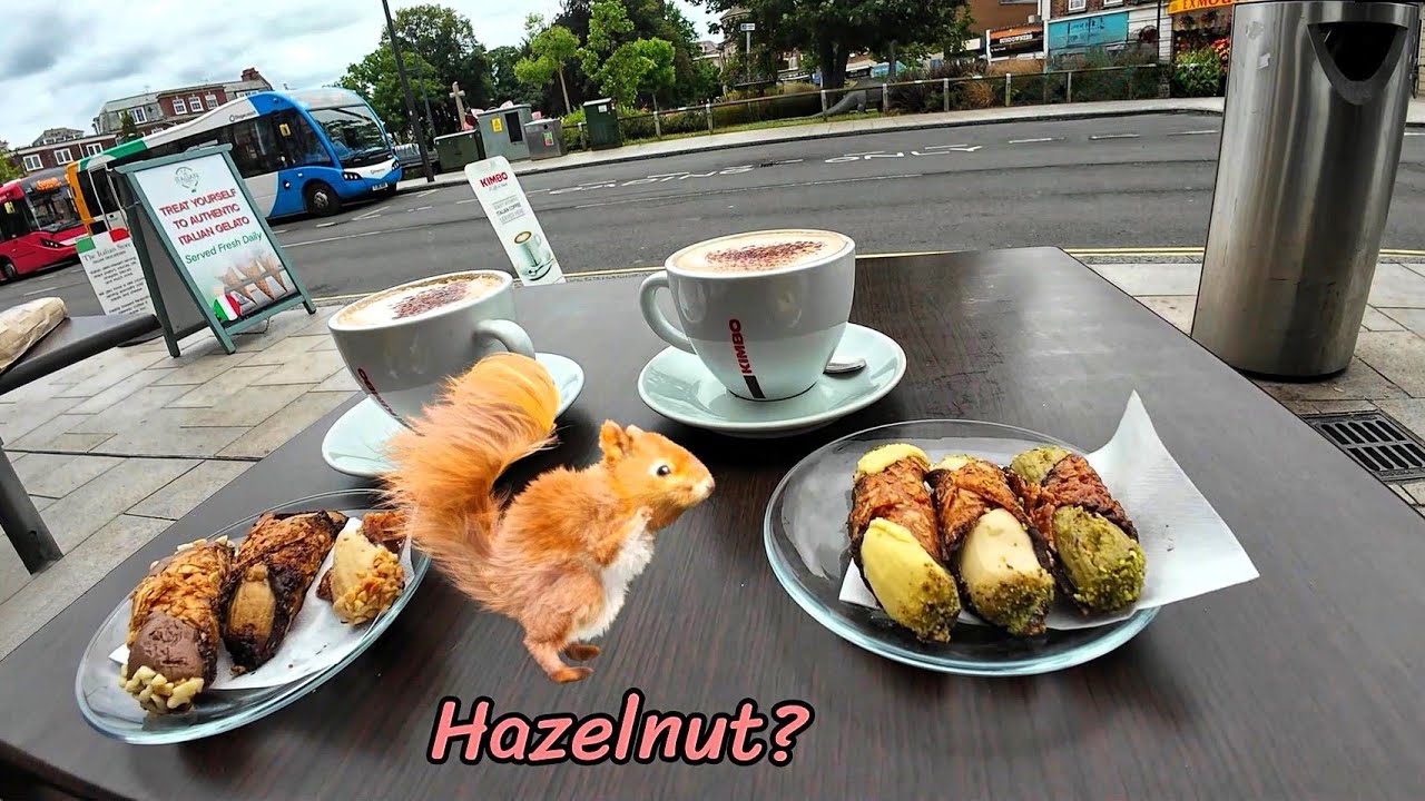 The Italian Store in Exmouth: cappuccino, cannoli & a whole lot more ...