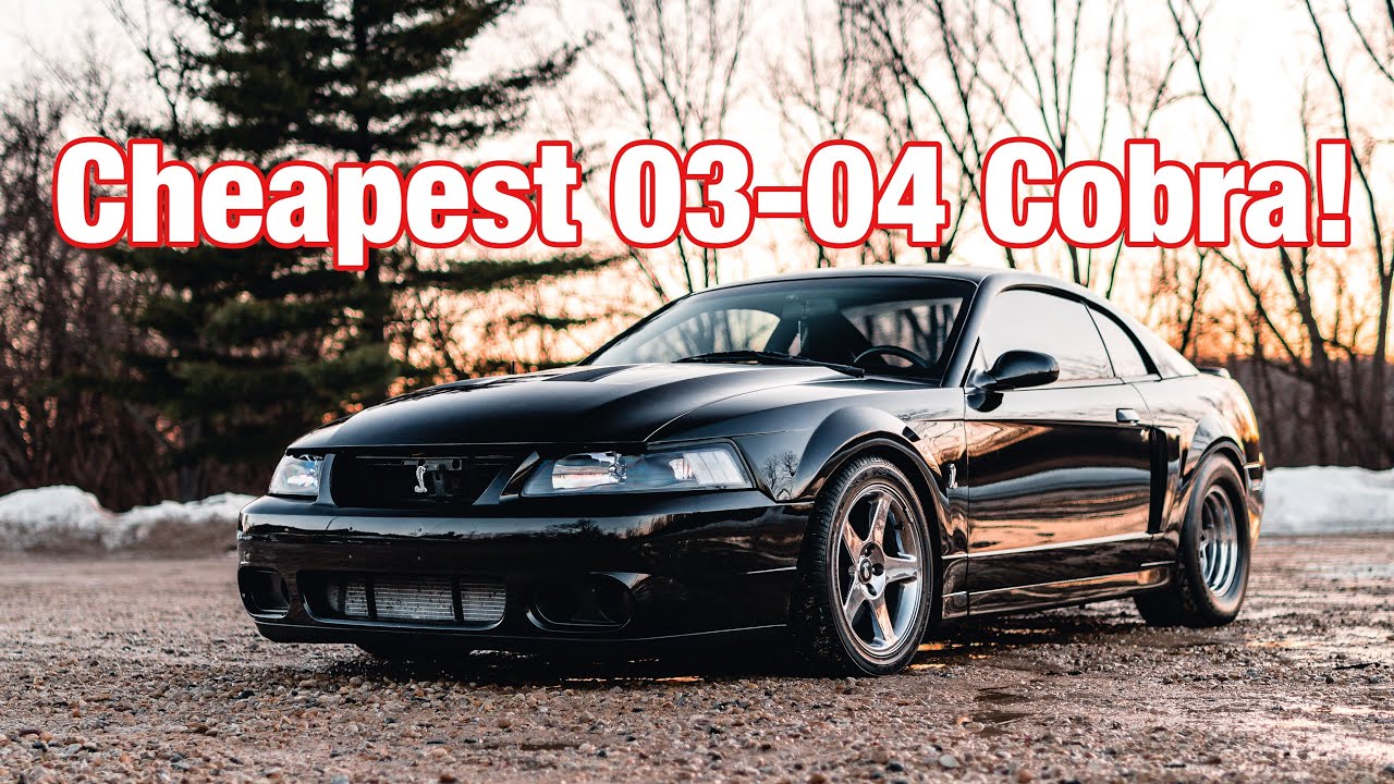 I Bought The Cheapest 03-04 Cobra Terminator - YouTube