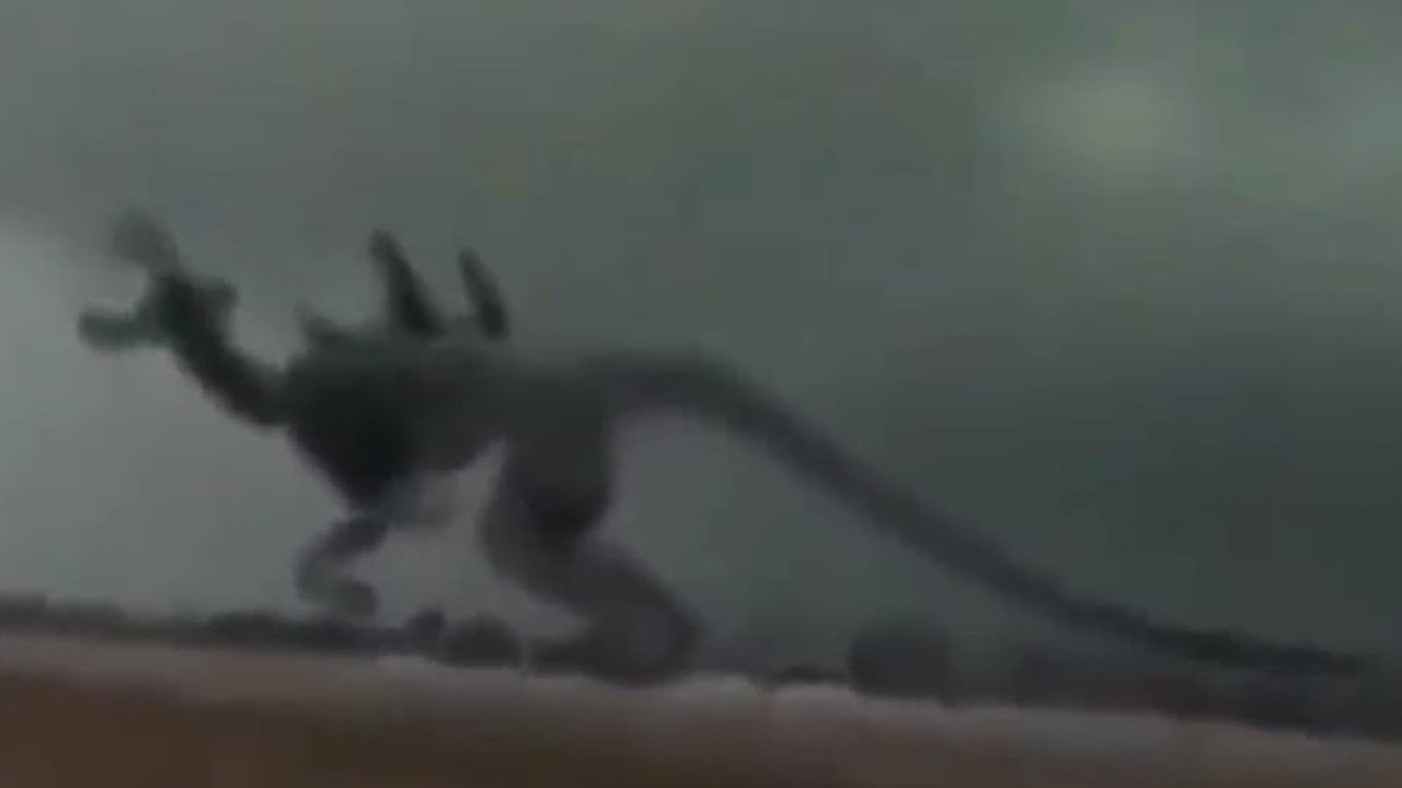 Godzilla sighting in Czech Republic - YouTube