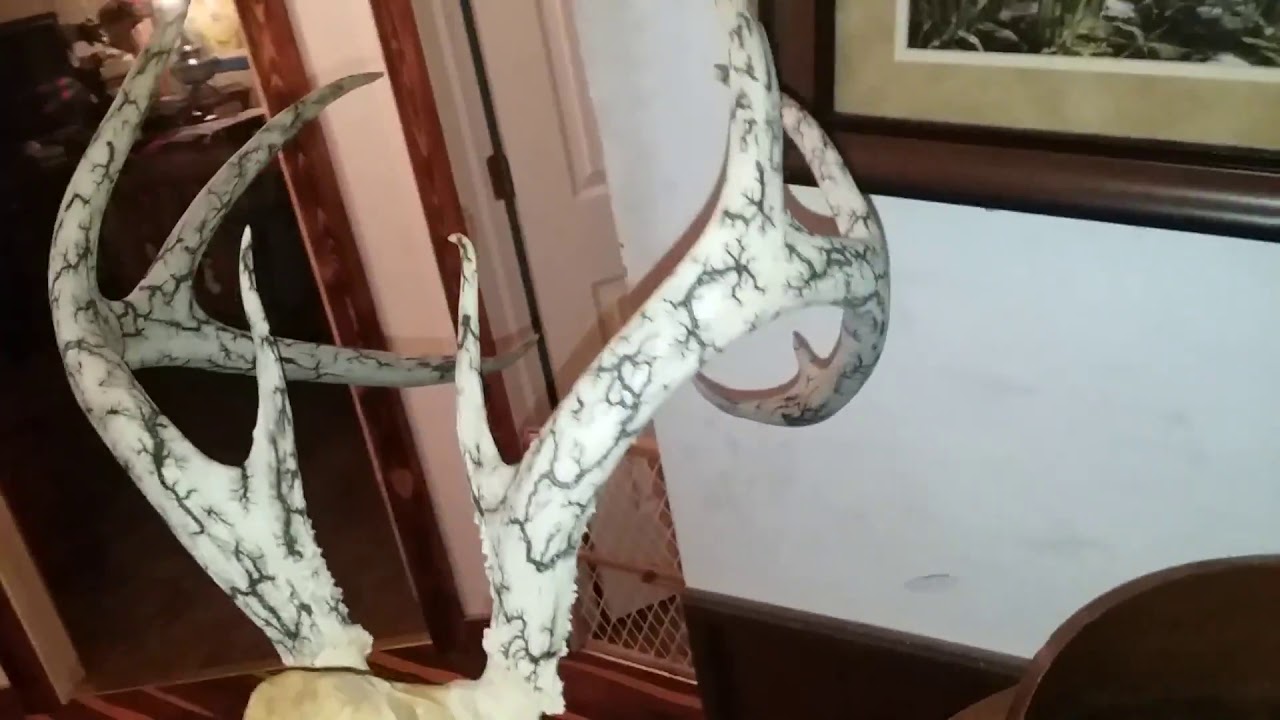Fractal burn whitetail deer horns - YouTube