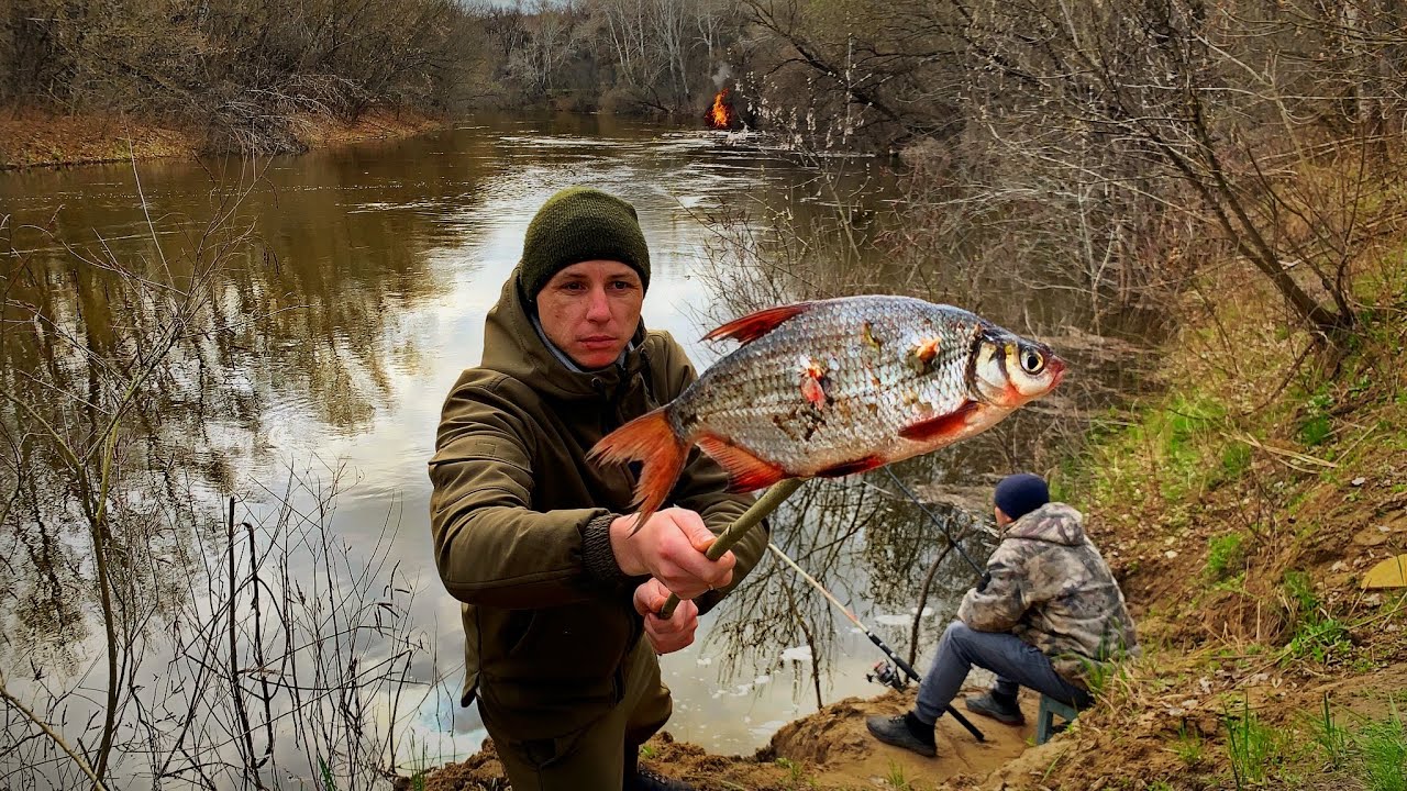 Catch and Cook Fish in Rain | Camping Fishing in the Wilderness ...