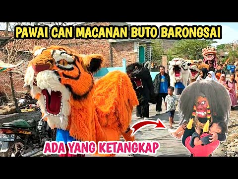 B0CIL KETANGKAP‼️Pawai Barongsai Can Macanan Buto Topeng Ireng NEW PANDAWA - Sodong Sayung Demak 