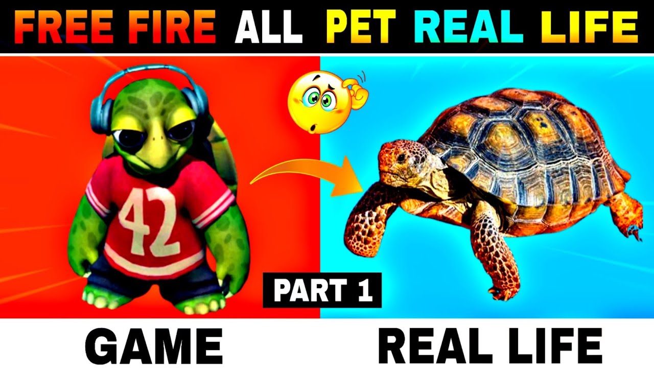 FREE FIRE ALL PETS IN REAL LIFE || ALL PET IN REAL LIFE || FREE FIRE ...