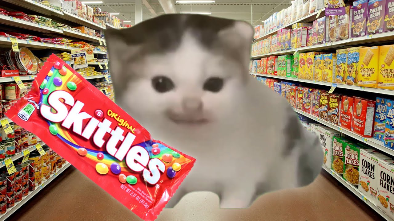 Skittles meme German Cat Meme - YouTube