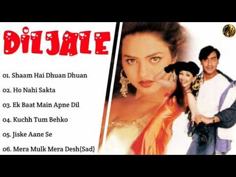 Dil Jale Movie All Songs~Ajay Devgan~Sonali Bendre~Madhoo~Musical Club