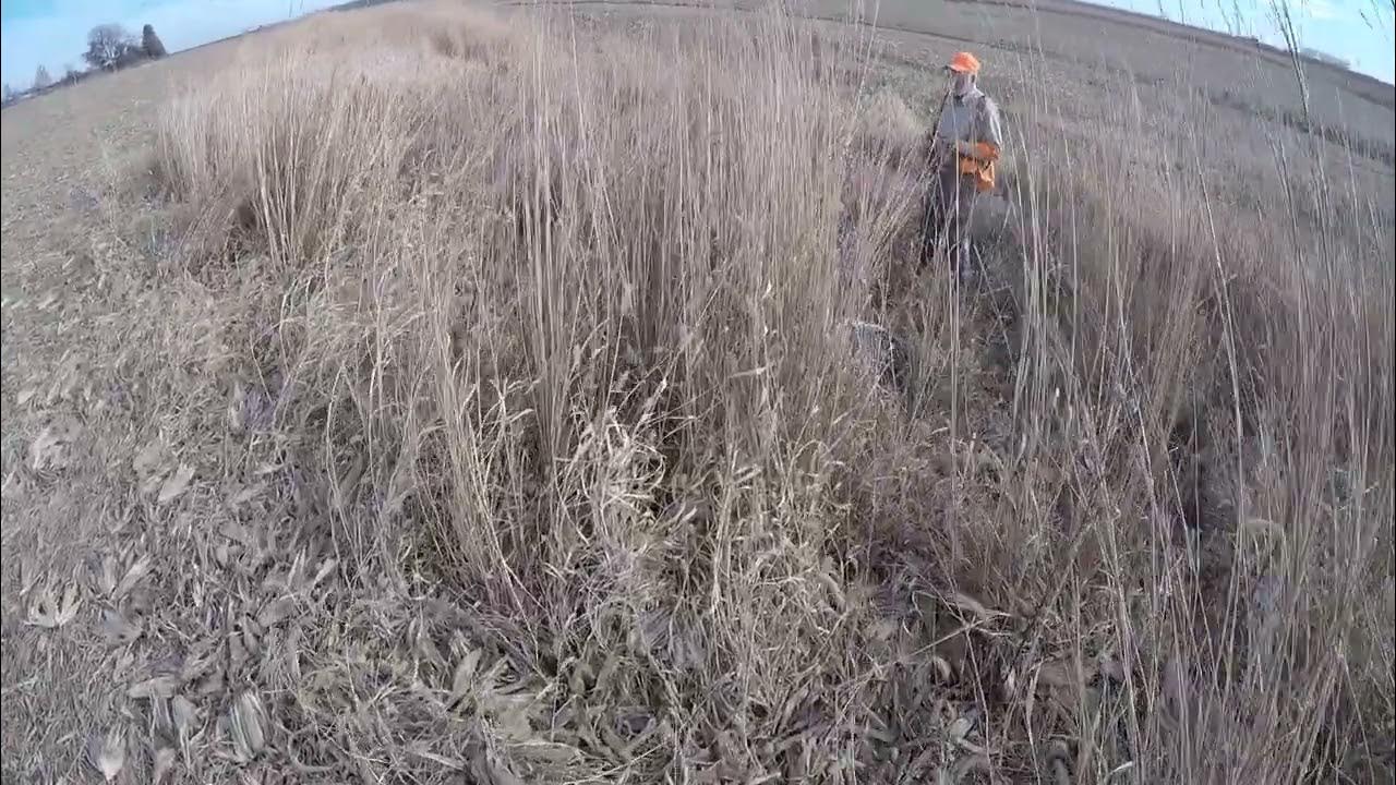 This POS only works half the time… - YouTube