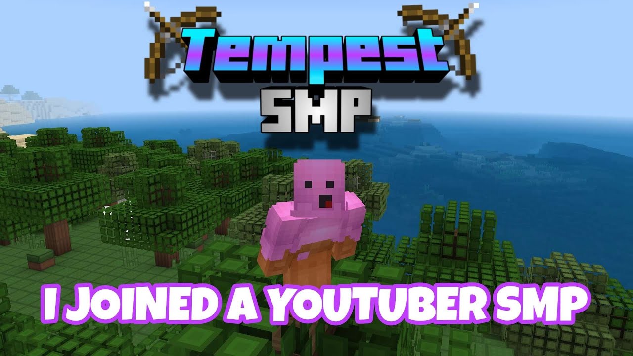 I JOINED A YOUTUBER SMP!!!! - YouTube