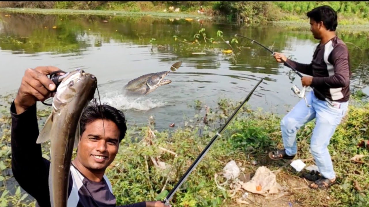 पटन फिश का जोरदार हमला || Back to back patan Fish hunting || Monster ...