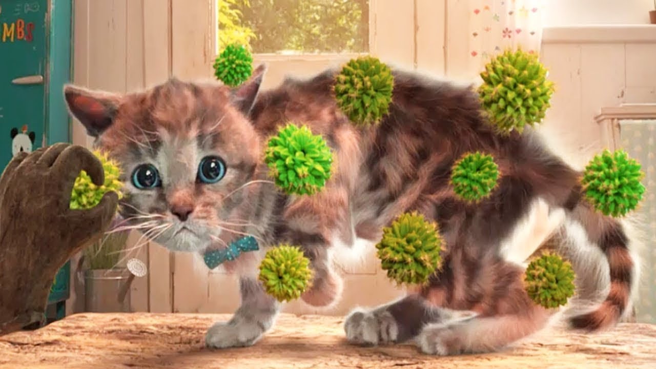 Lindo Gatito Aventuras - Dibujos Animados Infantiles - Episodio 7 - YouTube