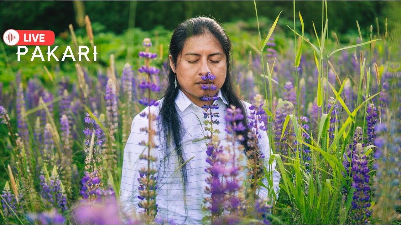 Pakari - Beautiful Flute Music For Relax - YouTube