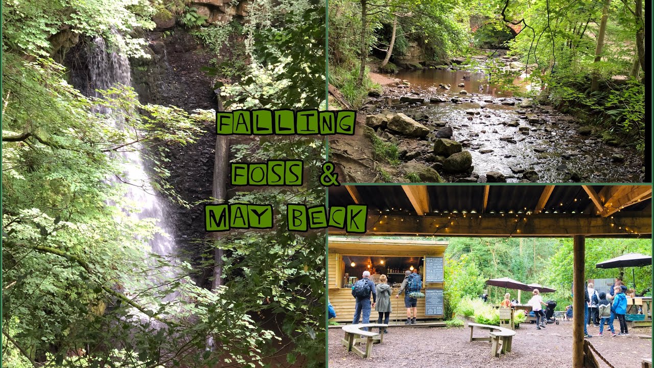 We visit Falling Foss & May Beck | Places to Visit in Yorkshire ...