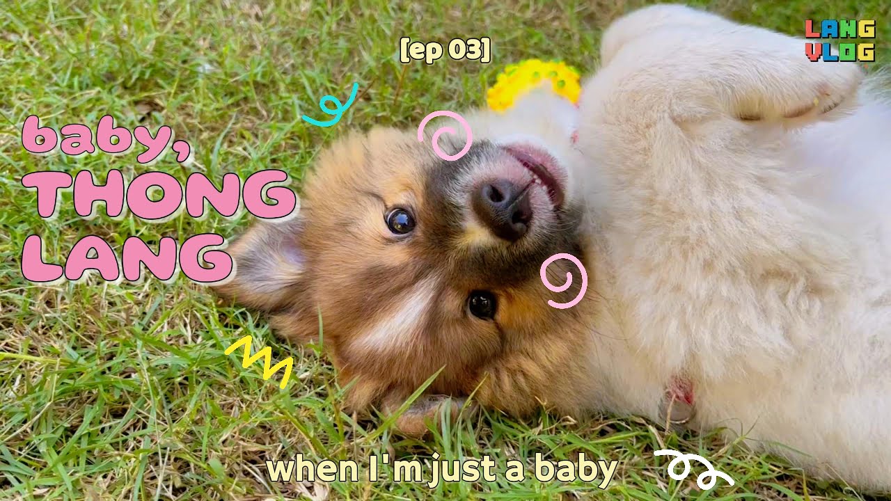 [LANG-Vlog] ep.3 baby THONG-LANG : when I'm just a baby part.2 #บางแก้ว ...
