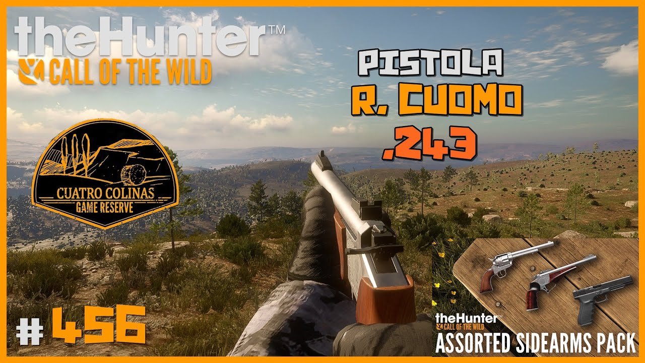 🦌theHunter: CotW #456 | NUEVO PACK DE ARMAS - ASSORTED SIDEARMS PACK ...