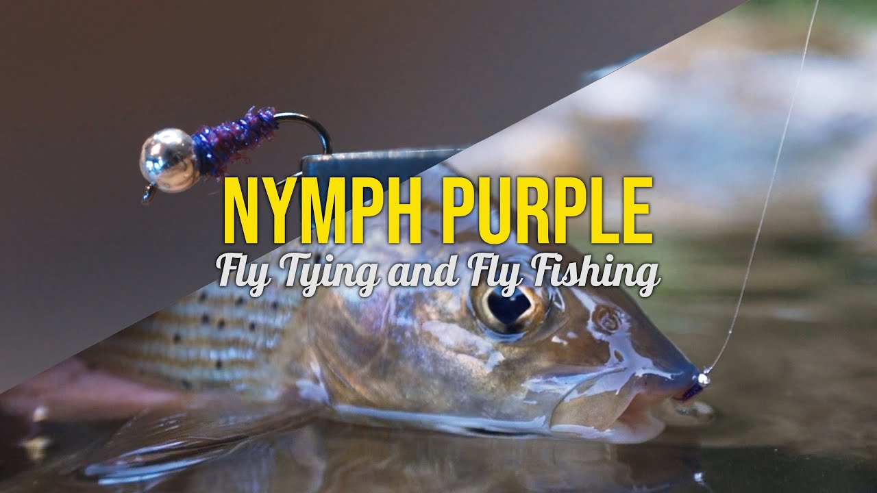 Nymph Purple - Fly Tying & Fly Fishing - YouTube