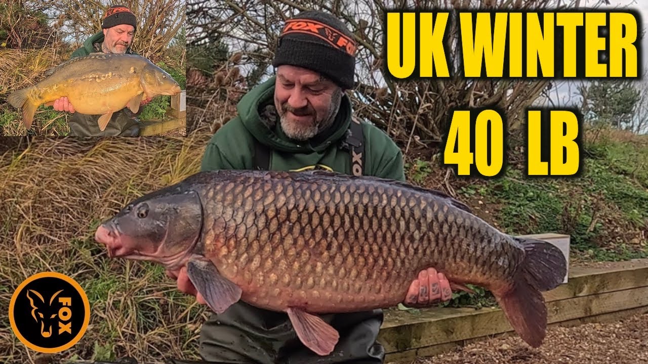 UK WINTER 40 LB - RIVERSLEA FARM LAKE - carp fishing - fox - YouTube