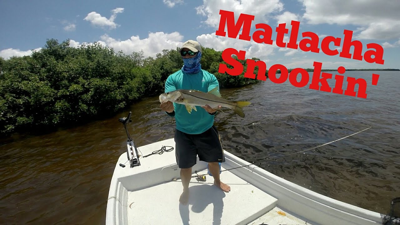 Matlacha Snook Fishing - YouTube