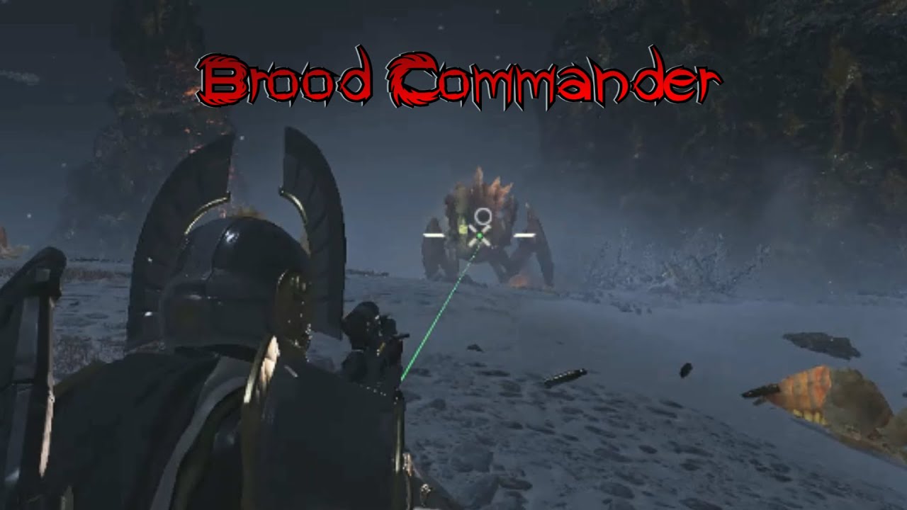Helldivers 2 - Killing the Brood Commander then getting out of there. - YouTube