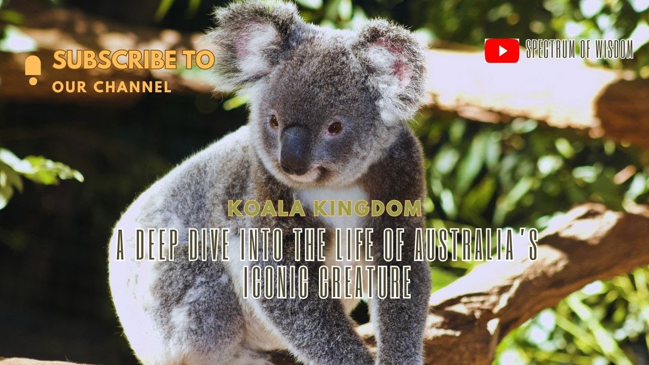 Koala Kingdom: A Deep Dive into the Life of Australia’s Iconic Creature ...