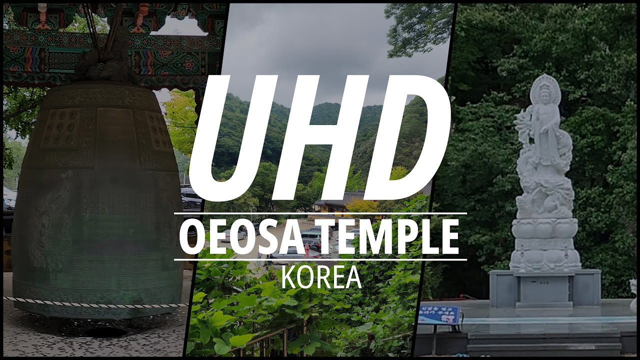 Oeosa Temple | 오어사 | Buddhist temple | 4K Korean Temple Walk | - YouTube