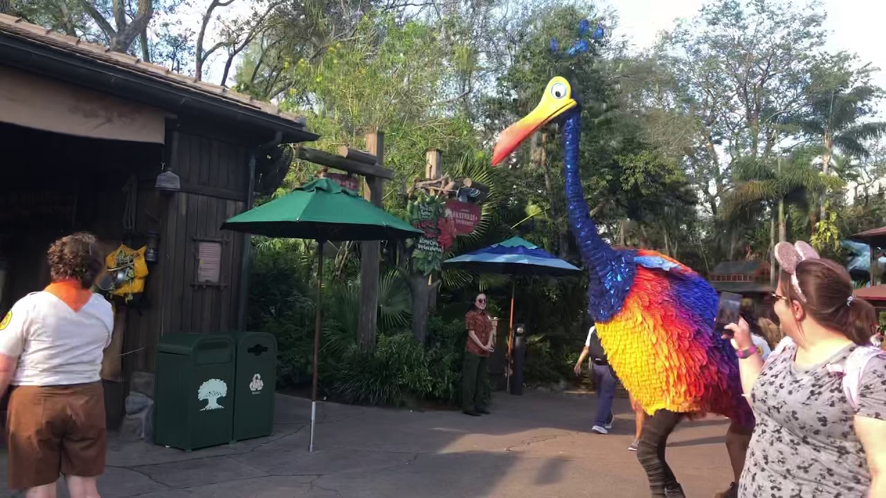 Kevin Up Bird Walk-Around Character at Disney World’s Animal Kingdom ...