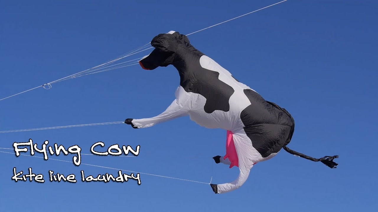 Flying Cow