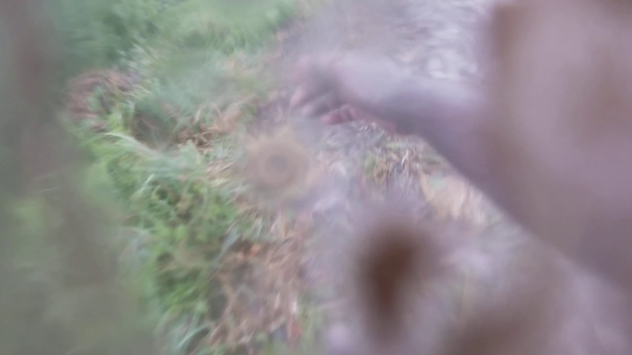 2019 Muddy Dash Muddy Lens Busted ass Water Brk - YouTube