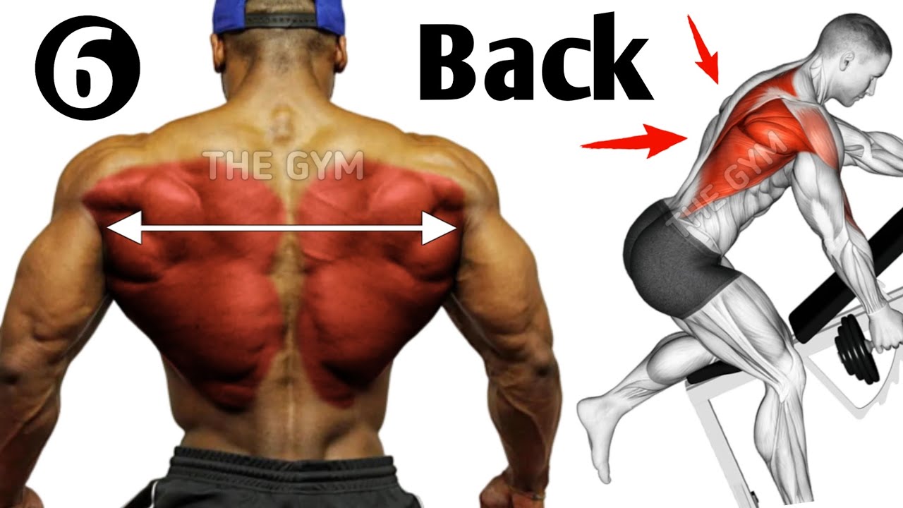 6 Muscle growth back exercises ( fastest ) - YouTube